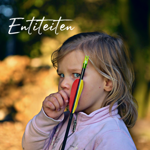 Huisreiniging bij entiteiten - who YOU are